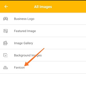 Adding Favicon Image to your website using Boost360 App – NowFloats